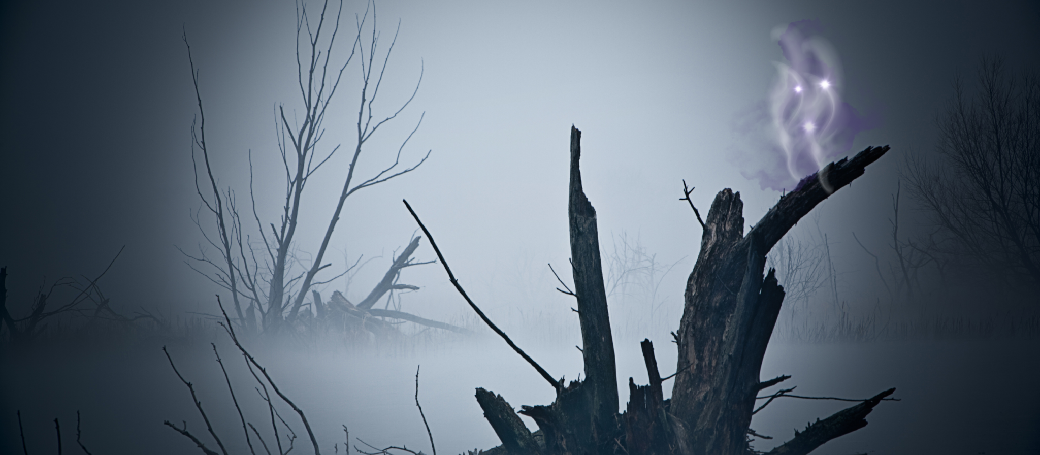 Will-O’-The-Wisp – UNFORTUNATELY,